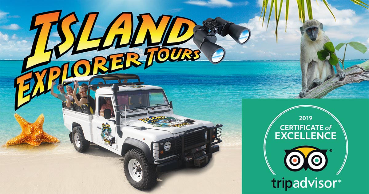 Welcome to Island Explorer Tours